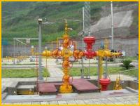 China Oil Gas Wellhead Equipment Xmas Tree Wellhead 52-180mm 21MPa-140MPa for sale