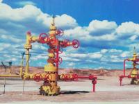 China API 6A Wellhead Christmas Tree Oil and Gas 20000psi AA-HH Material for sale