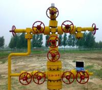 China Double Pipe Oil Well Christmas Tree Xmas Tree Valves PR1 PR2 API 6A Forged for sale