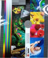 China Packaging Protective Film PET Laminating Onto Photos Prevent From Pollution for sale