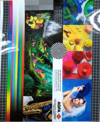 China Packaging Protective Film PET Laminating Onto Photos Prevent From Pollution for sale