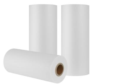 China Anti-Scratch/Fingerprint PP Thermal Film Roll - Silky Finish for Packaging for sale