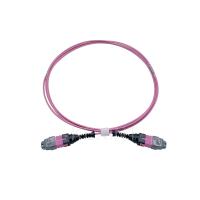 China KEXINT FTTH MTP PRO OM4 12 Cores Fiber Optical Patch Cord 2M Type B for sale