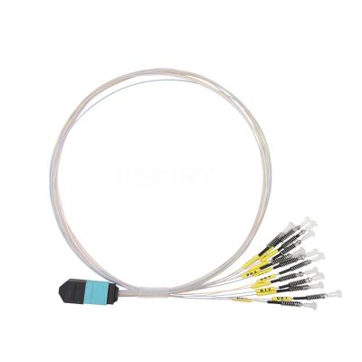 China FTTH Multimode MTP LC Fiber Optic Patch Cable Ferrule OM3 OM4 12 Fibers 0.7mm 0.5m for sale