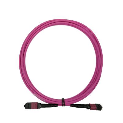 China G657A1 Fiber Optical Patch Cord 24 Cores Red Low Insertion Loss for sale