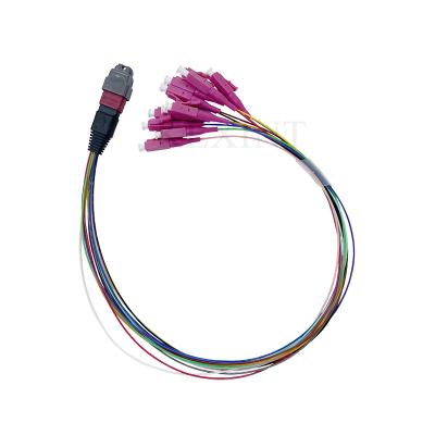 China 12 Cores Fiber Optic Trunk Cable Om4 Mtp/Pc Male - Lc/Upc Fanout 0.9mm 40cm for sale