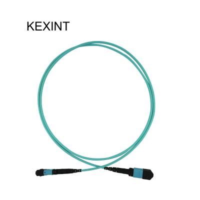 China 100G 24 MTP MPO Fiber Optic Cable Patch Cord 3M OM4 24 Core for sale