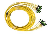 China LSZH 500N 72 144 Core 40G 100G SM MTP MPO Patch Cord for sale