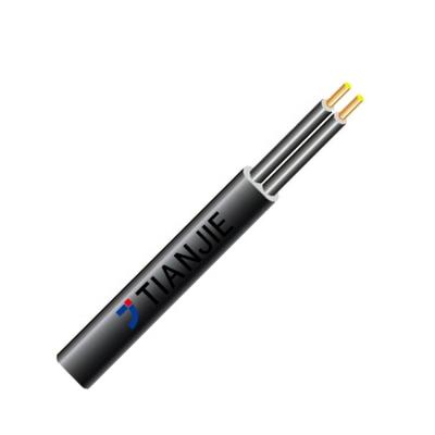 China NISPT-1 NISPT-2 2 Core Flat Flexible PVC Insulated Parallel Cord 300V 75°C for sale