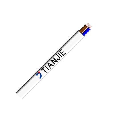 China TIANJIE BVVB 2 Core Flat Twin Sheath Solid Copper Power Cable 300/500V 450/750V for sale