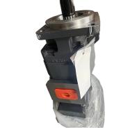 China Zoomlion Duplex Gear Pump 1010000694 for Rough Terrain Cranes - 600×300×300mm, 30Kgs for sale