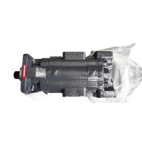 China Zoomlion Duplex Gear Pump 1010000694 for Rough Terrain Cranes - 600×300×300mm, 30Kgs for sale