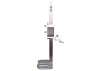 China 0-300mm Stainless Steel Hardened Vernier Height Gauge Measuring Device for sale