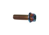 China Anodized Titanium Torx Screws Perfect for Motorcycles Bicycles for sale