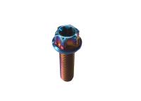 China Flange Flower Head Titanium Cycle Disc Roter Bolt Button Head Torx Drive for sale