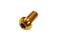 China Titanium Set Screws for Motorcycle Disc Brake Rotor Bike Brake Fastening Screw for sale
