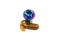 China Smooth Braking TC4 Titanium Alloy Disc Brake Rotor Bolts with Round Hex Head and Polished Surface for sale