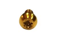 China Titanium Disc Brake Screw With Round Hex Head for sale