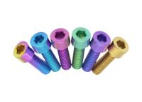 China Customized Titanium Hexagon Socket Head Screws DIN 912 M6 X 20mm Natural Customized for sale