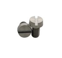 China M1-M10 Polished Titanium Slotted Cheese Head Machine Screws for Hardware Applications for sale