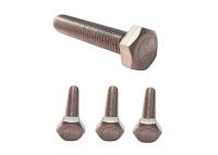 China Polished Titanium Hexagon Head Screw Bolt for Heavy-Duty Industrial for sale