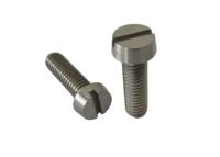 China Customized Titanium Slotted Head Screws For Industrial for sale