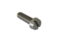 China Titanium Slotted Cheese Head Screws Anti-corrosion For Manufacturers And Suppliers for sale