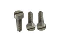 China Titanium Slotted Cheese Head Screws Anti-corrosion For Manufacturers And Suppliers for sale
