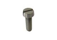 China Titanium Slotted Cheese Head Screws Anti-corrosion For Manufacturers And Suppliers for sale