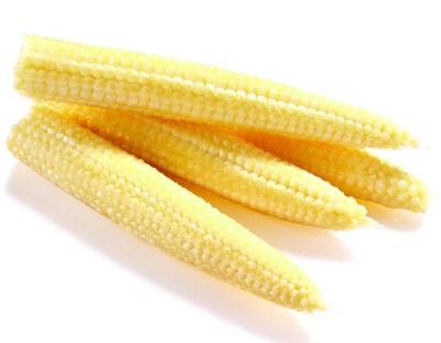 China Canned baby corn for sale