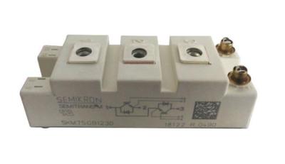 China Trans IGBT Module SKM75GB123D  N-CH 1200V 75A 7-Pin Case D-61 Latch Up Free for sale