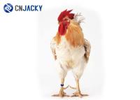 China Poultry Mini Rfid Pigeon Tag Animal Foot Rfid Pigeon Ring Label ABS Material for sale