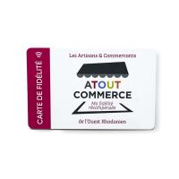 China 0.76mm Custom Plastic Gift Cards Offset Printing for Shopping Mall Store for sale