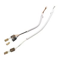 China AW10-0181 AW10-0182 OEM Fixing Thermistor Suitable for Ricoh MP C2004 2504 3004 3504 4504 5504 6004 Copier Spare Parts for sale