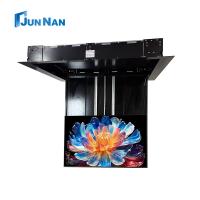 China Ceiling TV Flipper Easy Installation and Operation for Your Convenience for sale