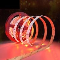 China Low Voltage 5050 LED Flexible Strip Light RGB WW Linear Engineering Light Strip for sale