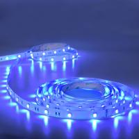 China 5050 RGBW Full Color Flexible Neon Strip Light Waterproof 1m Length Customizated for sale