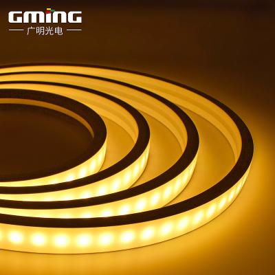China Neon Silicone Tube Light Strip 5*13MM Single Color Dual Color Temperature 2835/5050/3838 Soft Light Strip for sale