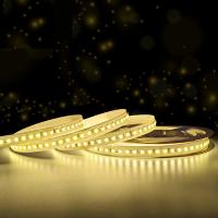 China 12V Low Voltage SMD 2835 LED Strip 168LEDs Outdoor Lighting Project for sale