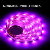 China Full Color 5050 SMD RGB LED Strip Flexible Home Decoration Neon Atmosphere Light for sale