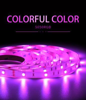 China Full Color 5050 SMD RGB LED Strip Flexible Home Decoration Neon Atmosphere Light for sale