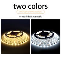 China remote control sMD 3528 lED strip Low Voltage Dual Color Temperature 120LEDs for sale