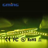 China Hotel KTV SMD 5050 RGB LED Strip Remote Control For Landscape Outlines for sale