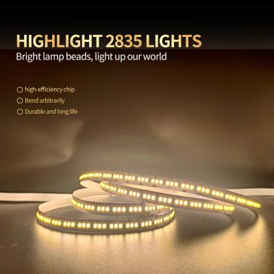 China 2835 Led Strip Low Voltage 12/24V 10mm Flexible Led Ribbon Light for sale