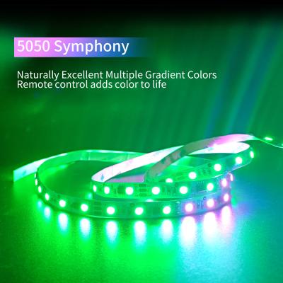 China Flexible 5050 Full Color Light Strip Color Changing Led Light Strips 60pcs/m for sale