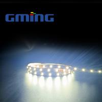 China 120 Light Flexible SMD 2835 LED Strip Bathroom Mirror Light With Low Pressure 12/24V for sale