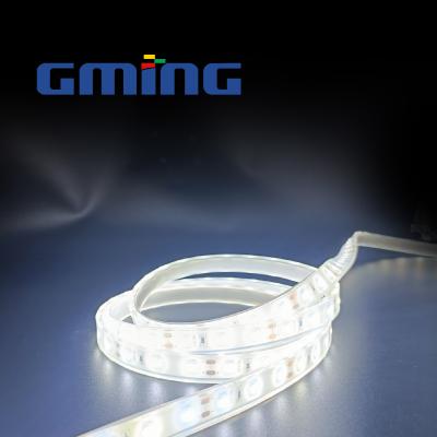 China 5 M/Roll SMD 2835 LED Strip 120 Lamp Monochrome IP67 Waterproof Sleeve for sale