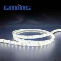 China Remote Control 2835 LED Light Strips Waterproof Casing 24v Dimmable LED Strip for sale