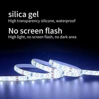 China IP65 Glue Dripping 12v LED Strip Lights Waterproof Low Voltage Highlight for sale
