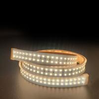 China Waterproof Casing Dimmable LED Strip Lights Glue Dripping SMD 2835 LED Strip for sale